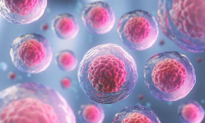 4 Tips for Managing Protocol Deviations in Cell Therapy Clinical Trials ...